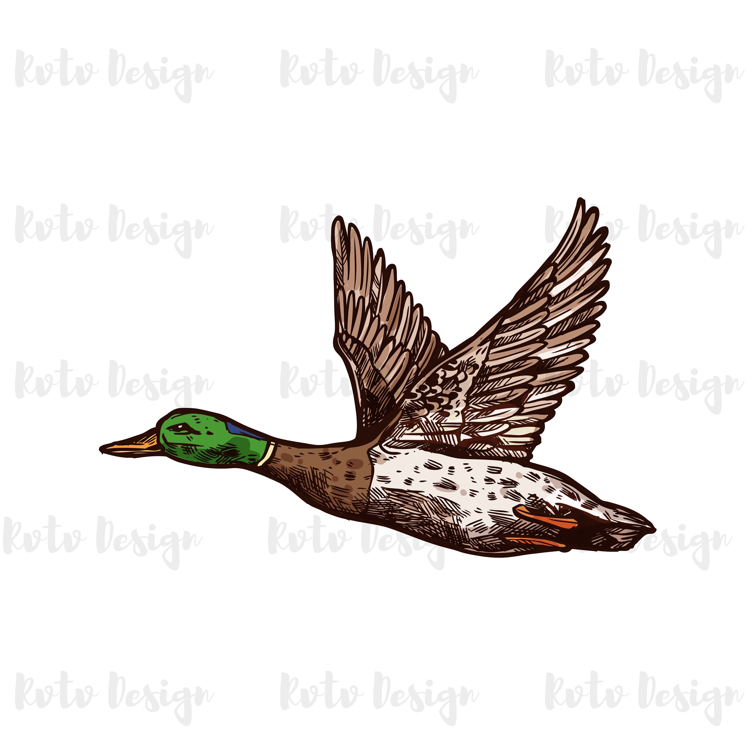 5 Types Wild Duck Sublimation PNG, Mallard Duck PNG, Mallard Duck ...