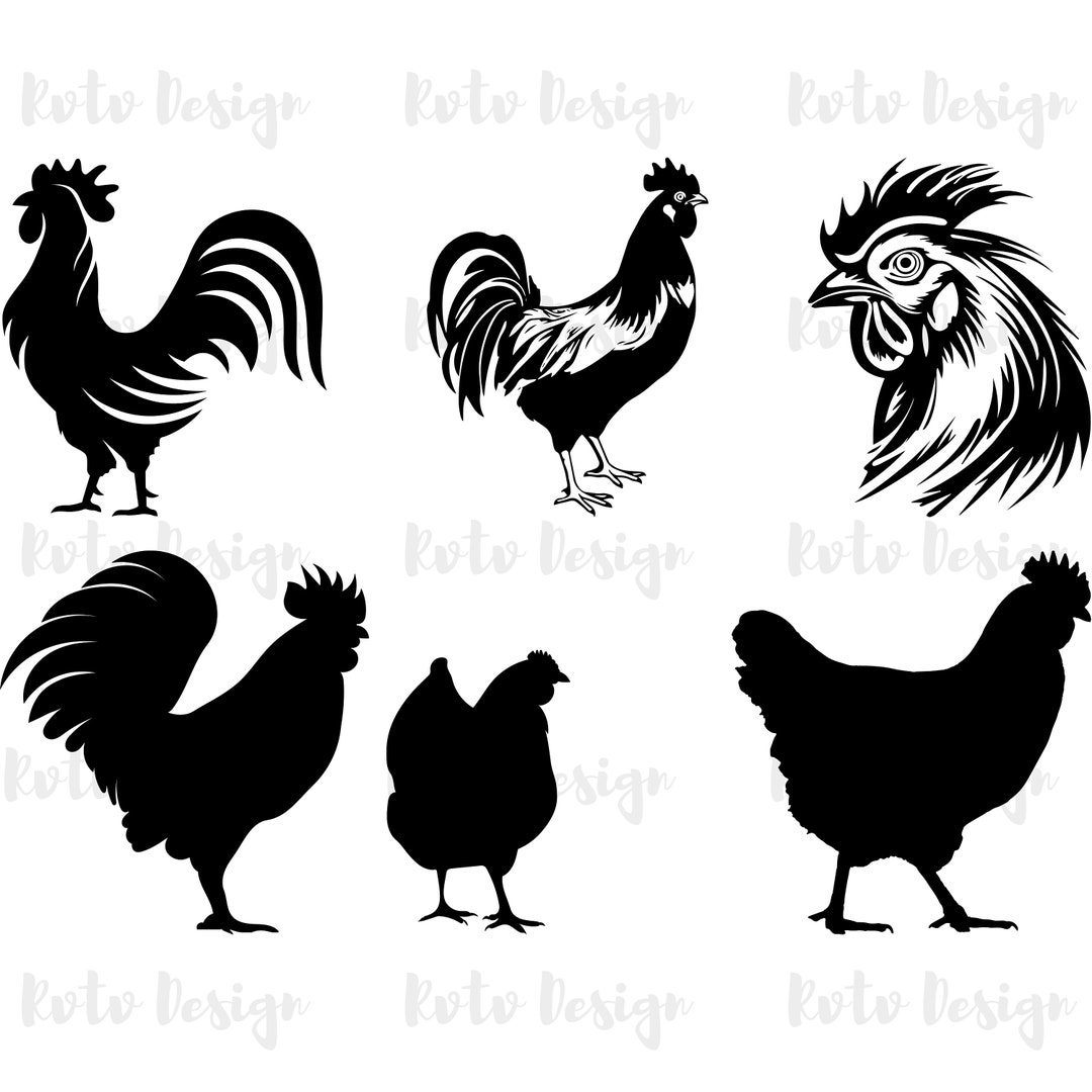 5 tipos de frango PNG, pacote de frango PNG, frango png, galo png ...
