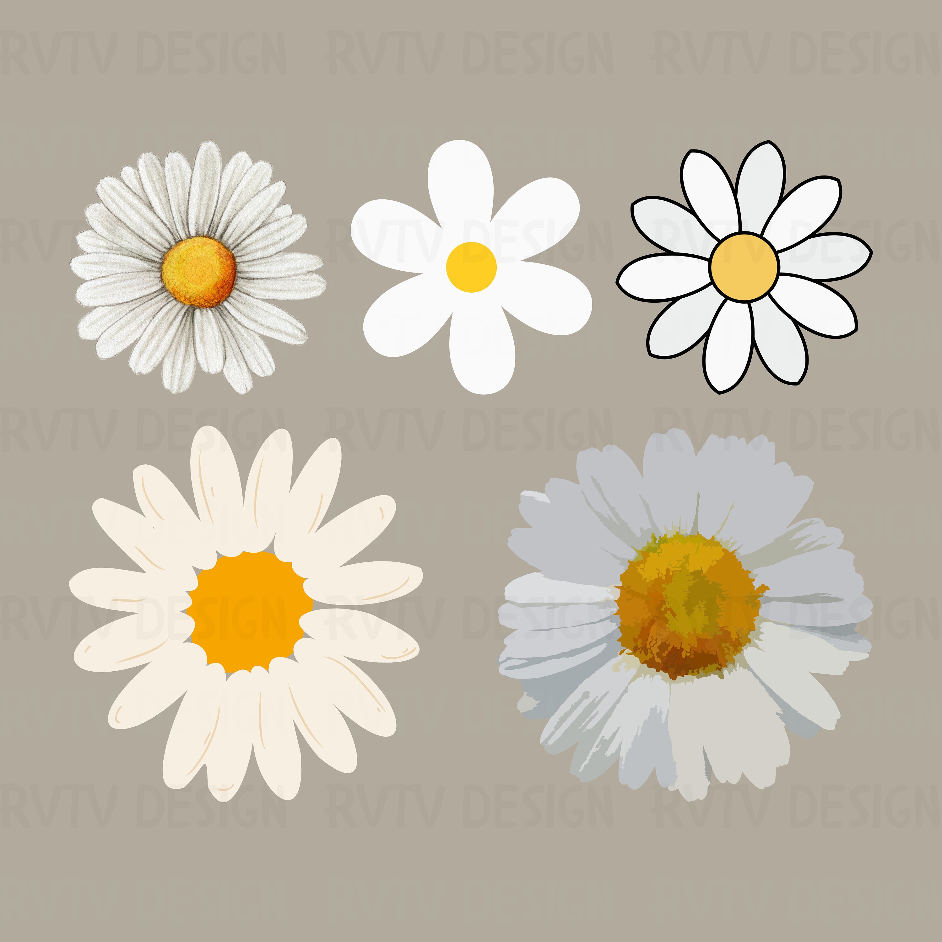 Daisy PNG Bundle: Flower Clipart, Silhouette Cut File (digital Download ...