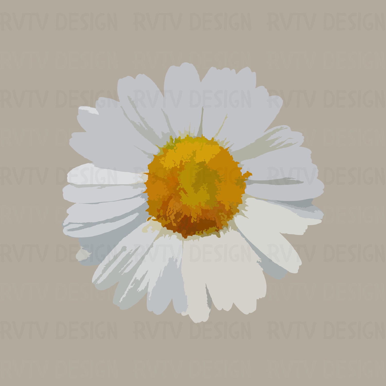 Daisy Png, 5 Types Daisy Files, Daisy Png Bundle, Daisy Flower Png ...