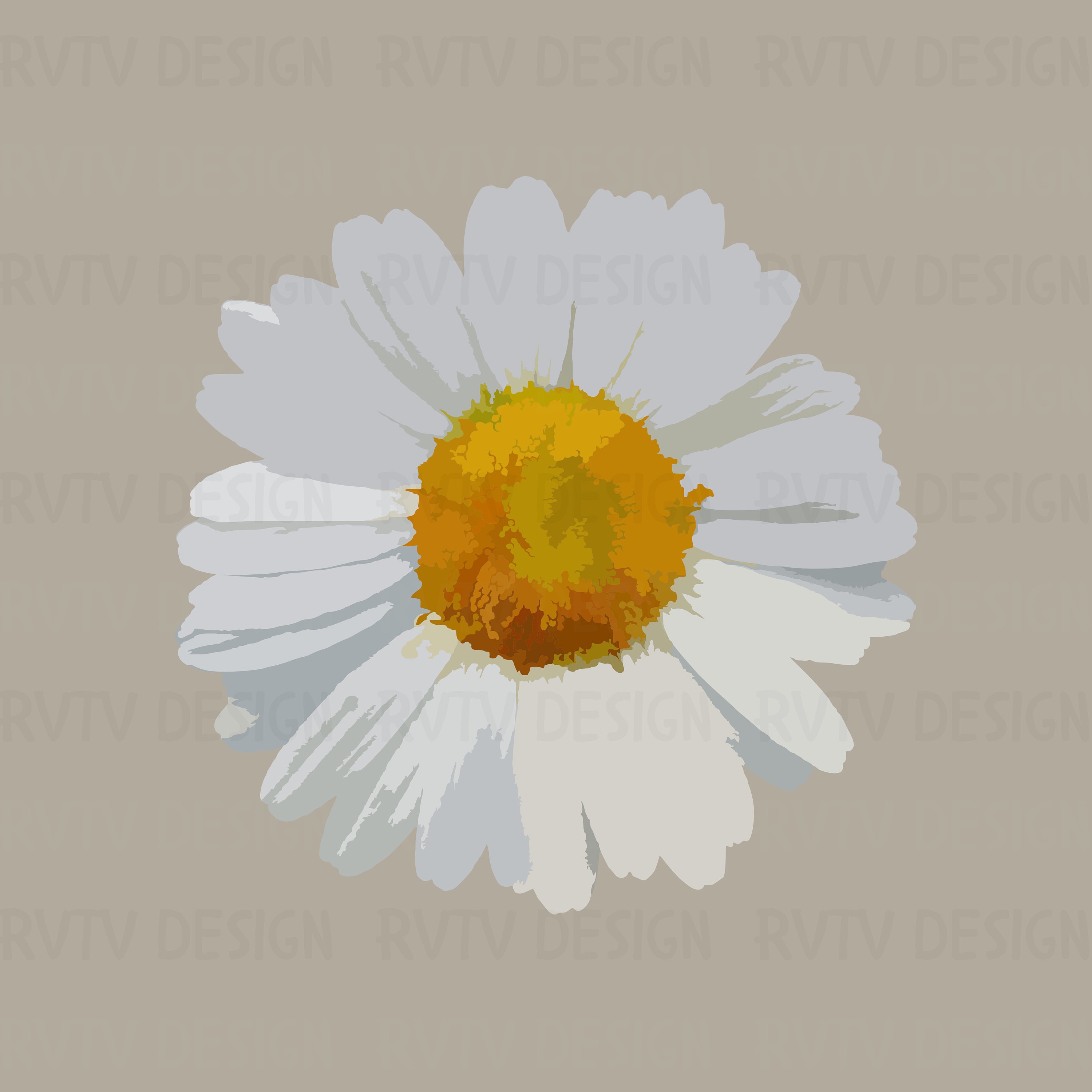 Daisy PNG Bundle: Flower Clipart, Silhouette Cut File (digital Download ...