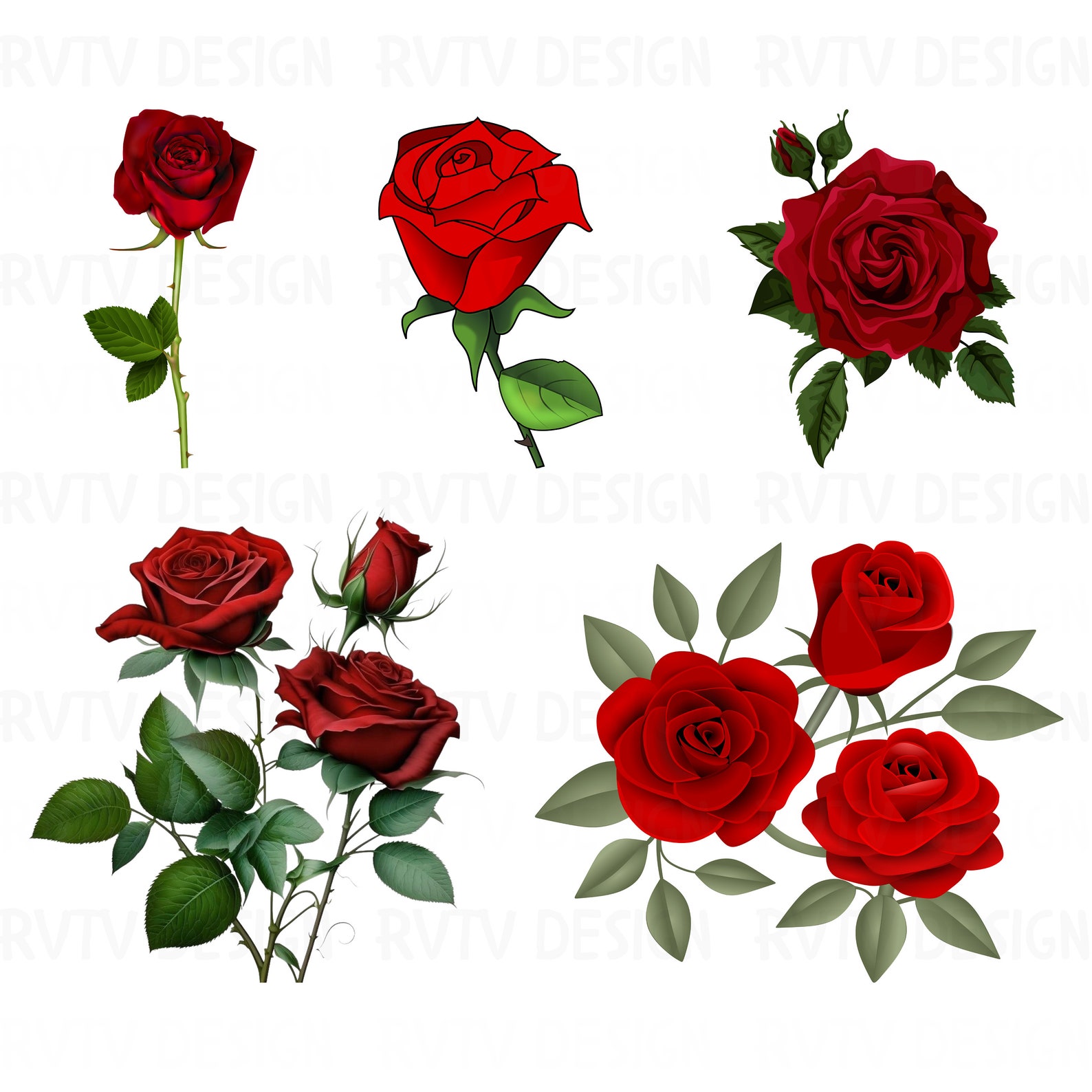 5 Types Rose Flower PNG Files, Floral Decoration PNG, Rose Png, Flower ...