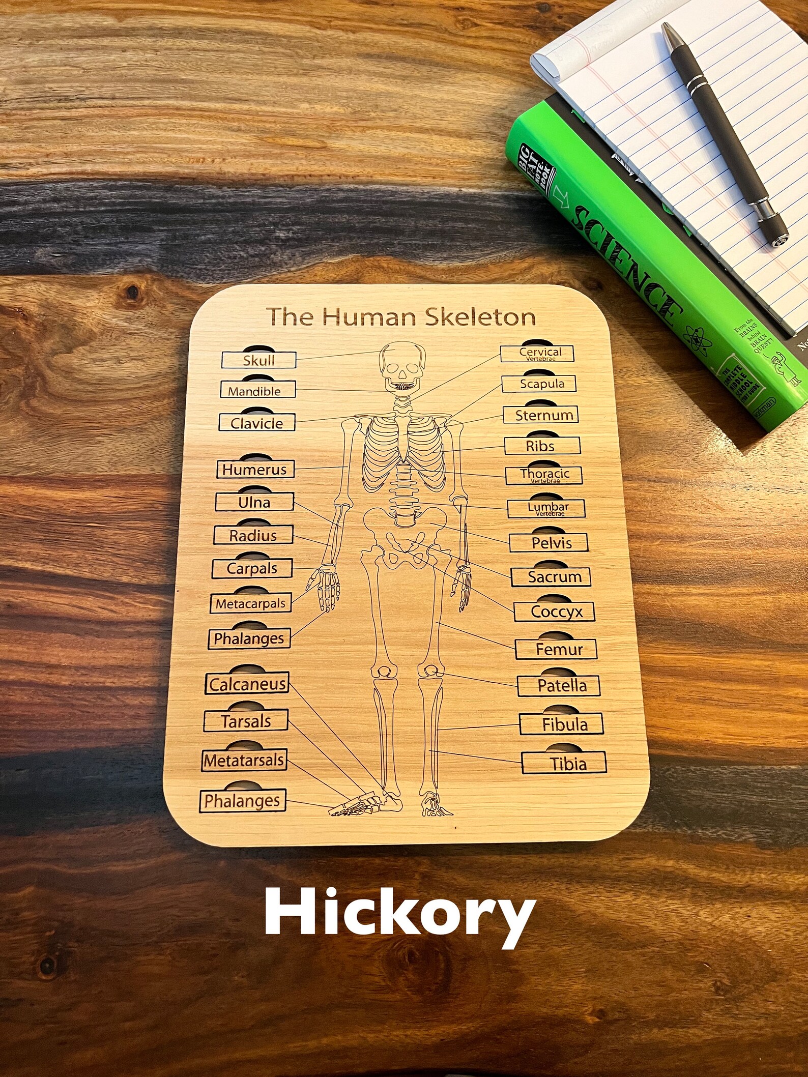 Human Skeleton Matching Puzzle Educational Tool Laser - Etsy