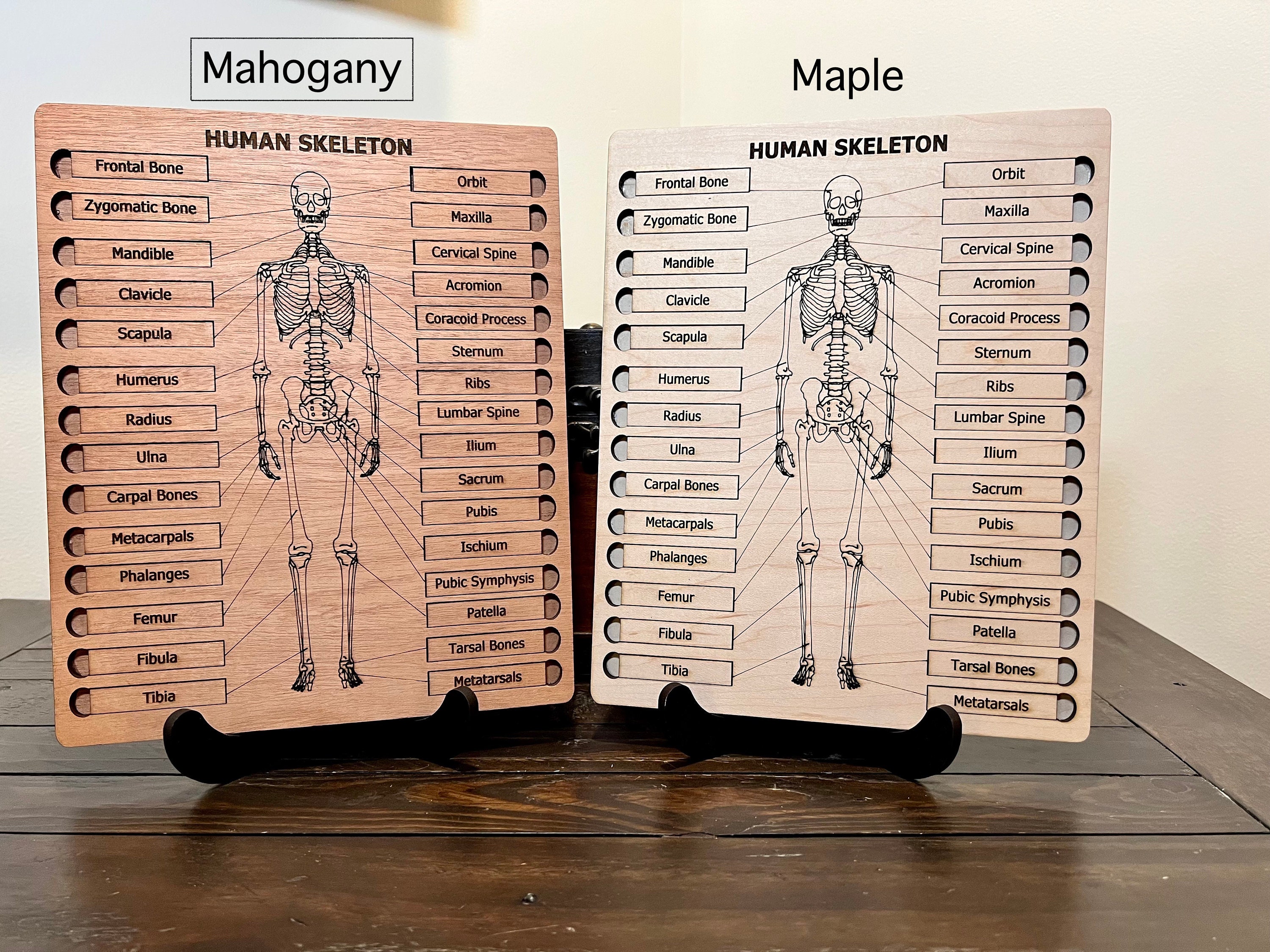 Human Skeleton Matching Puzzle Educational Tool Laser Engraved - Etsy