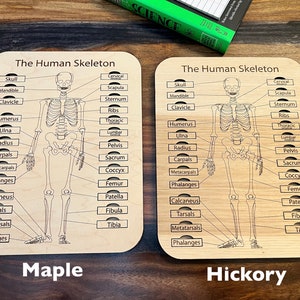 Human Skeleton Matching Puzzle Educational Tool Laser - Etsy