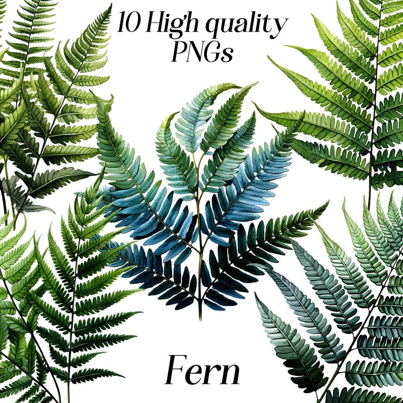 Fern Logo - Etsy