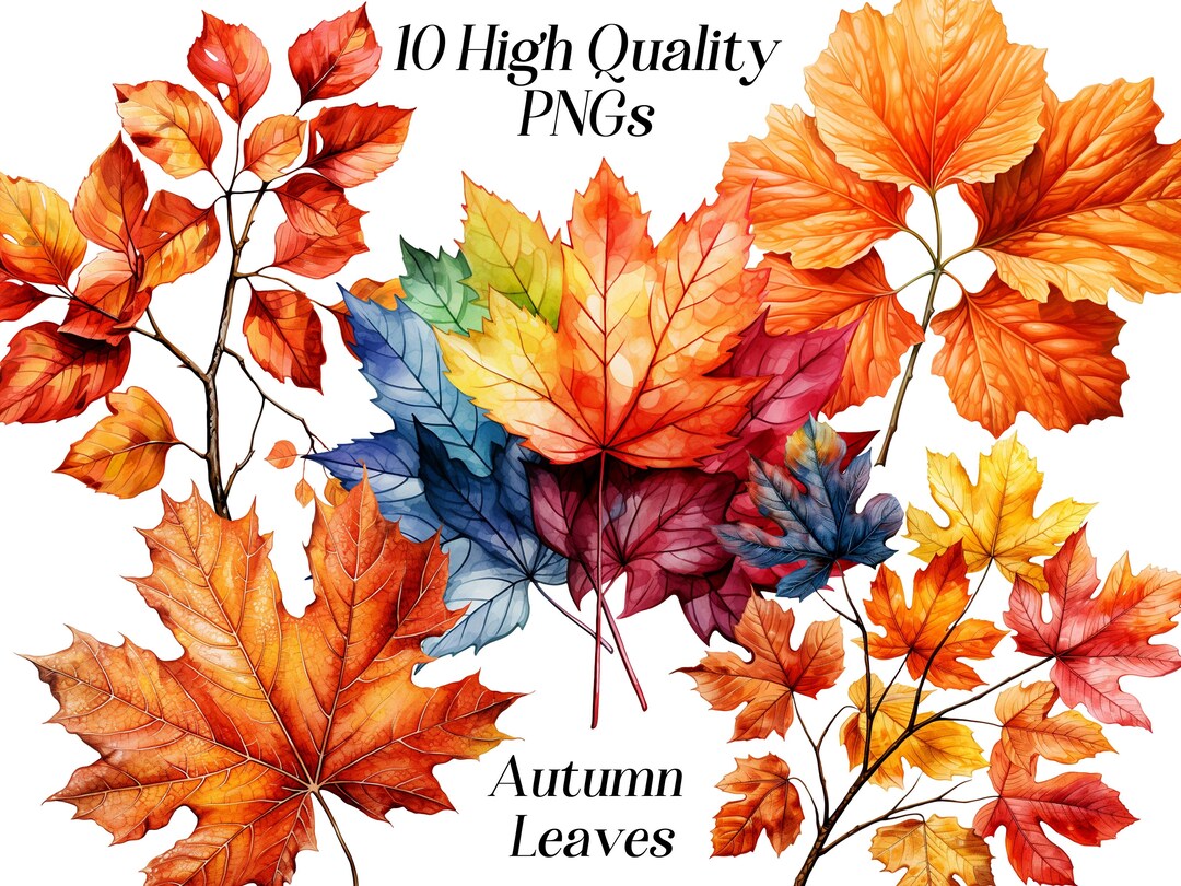 Autumn Leaves Clipart: Rustic Fall Foliage PNG (digital Download) - Etsy