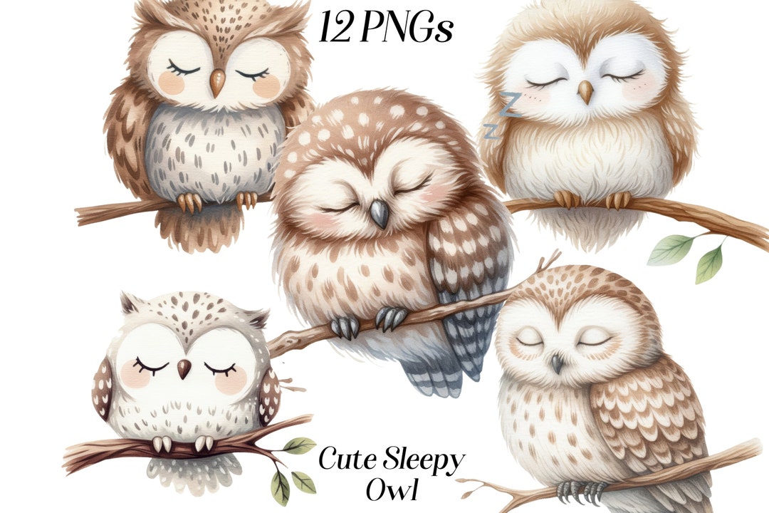 Watercolor Cute Sleepy Owl Clipart, 12 PNG Files, Cartoon Owl, Nursery ...