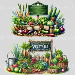 Watercolor Garden Patch Clipart, 14 PNG Files, Vegetables, Countryside ...