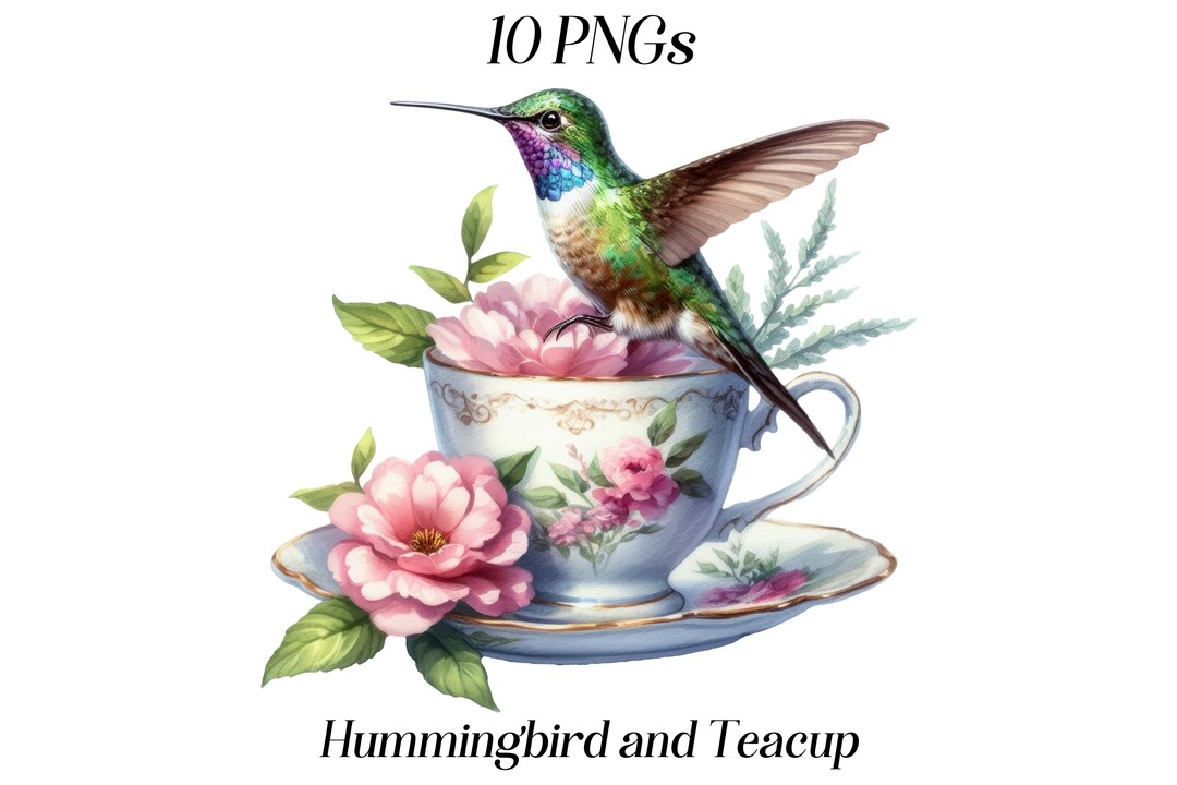 Watercolor Hummingbird and Teacup Clipart, 10 High Quality PNG Files ...