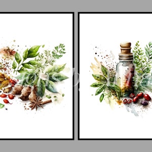Watercolor Herbs & Spices Clipart: Rustic Kitchen Graphics (JPEG, PNG ...