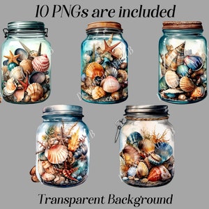 Watercolor Sea Shells Clipart, 10 High Quality JPEG and PNG Files ...