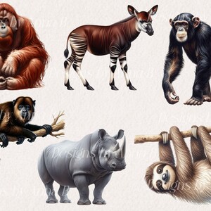 Jungle Animals Clipart: 35 Wild Animal Pngs (digital Download) - Etsy