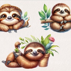 Sloth Clipart, Cute Cloth Clip Art, Watercolor Sloth Png, Sloth ...