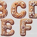 Watercolor Gingerbread Cookie Alphabet Clipart, 26 High Quality PNG ...