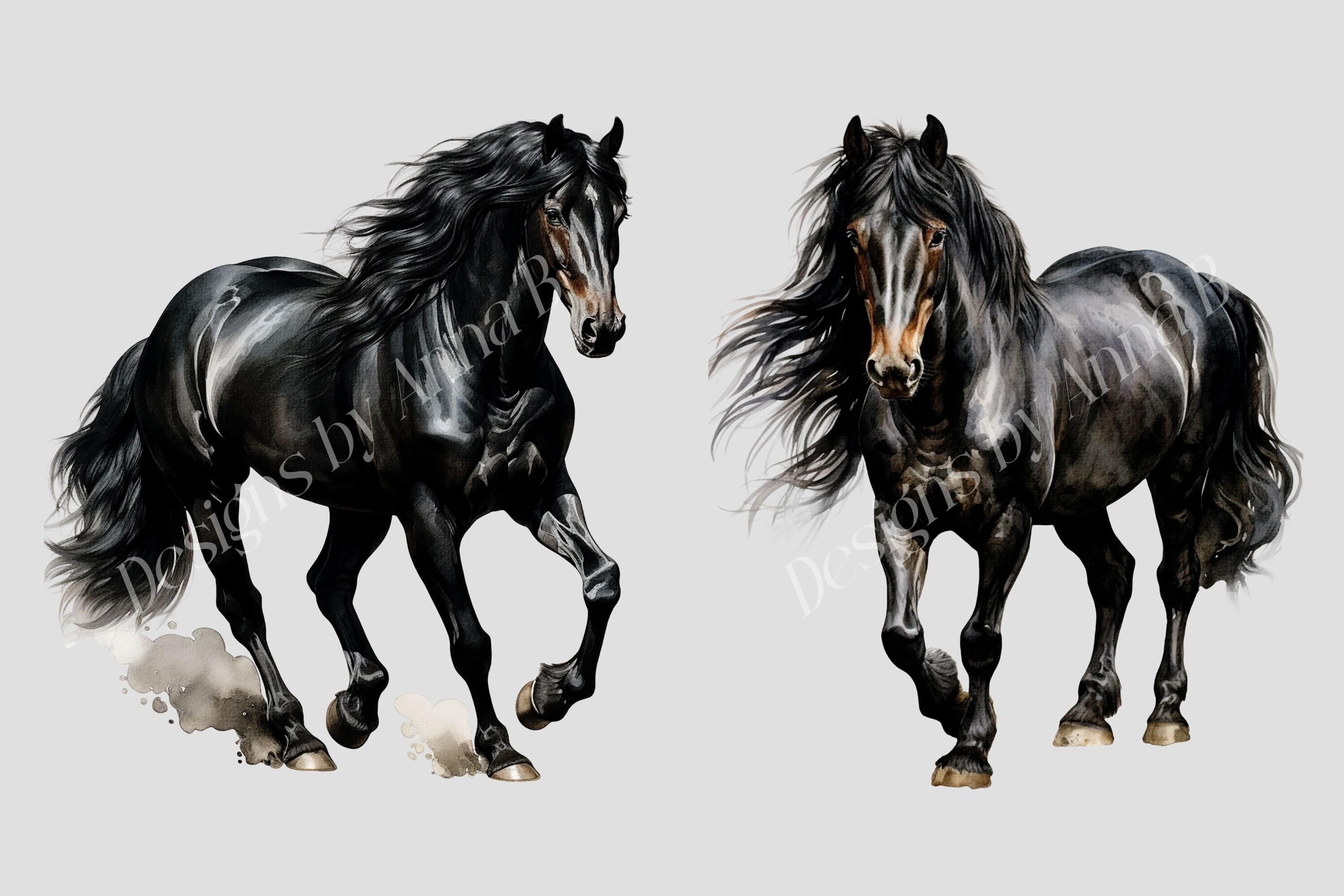 Watercolor Black Horse Clipart: Farm Horse PNG (digital Download) - Etsy