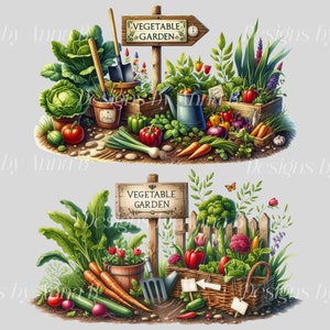Watercolor Garden Patch Clipart, 14 PNG Files, Vegetables, Countryside ...