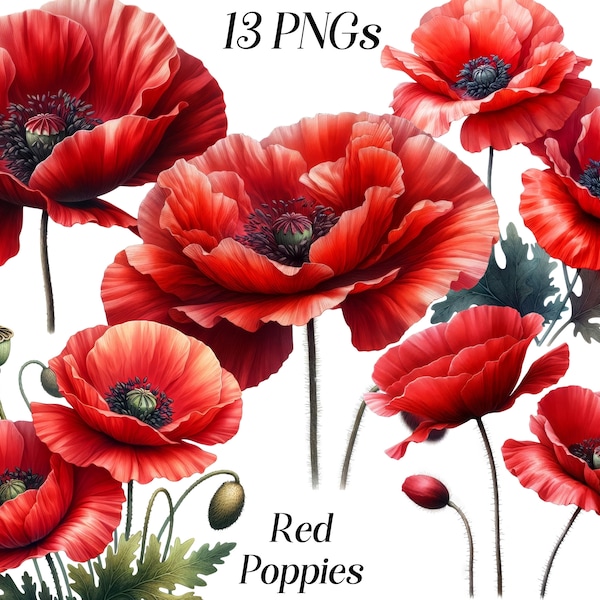 Poppy Watercolor Clipart - Etsy