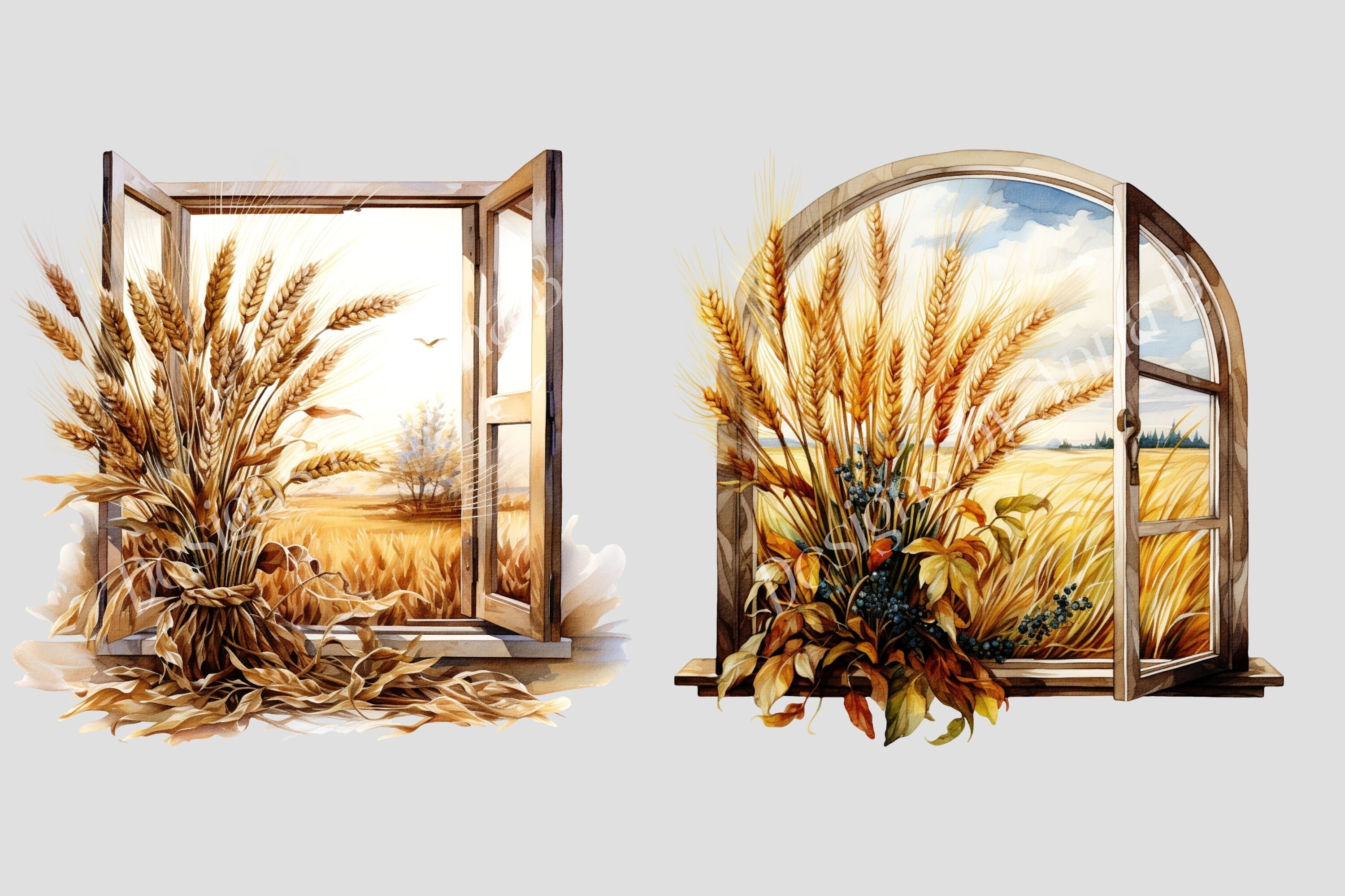 Watercolor Window Wheat Clipart: Harvest Bakery Decor (PNG Files) - Etsy