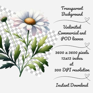 Watercolor Daisy Clipart: 14 PNG Floral Illustrations (digital Download ...