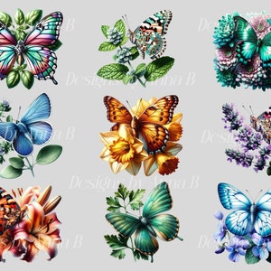 Watercolor Butterfly Clipart: 50 PNG Files (digital Download) - Etsy