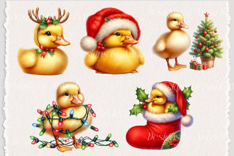 Christmas Duck Clipart: Watercolor Festive Bird Illustrations (PNG ...
