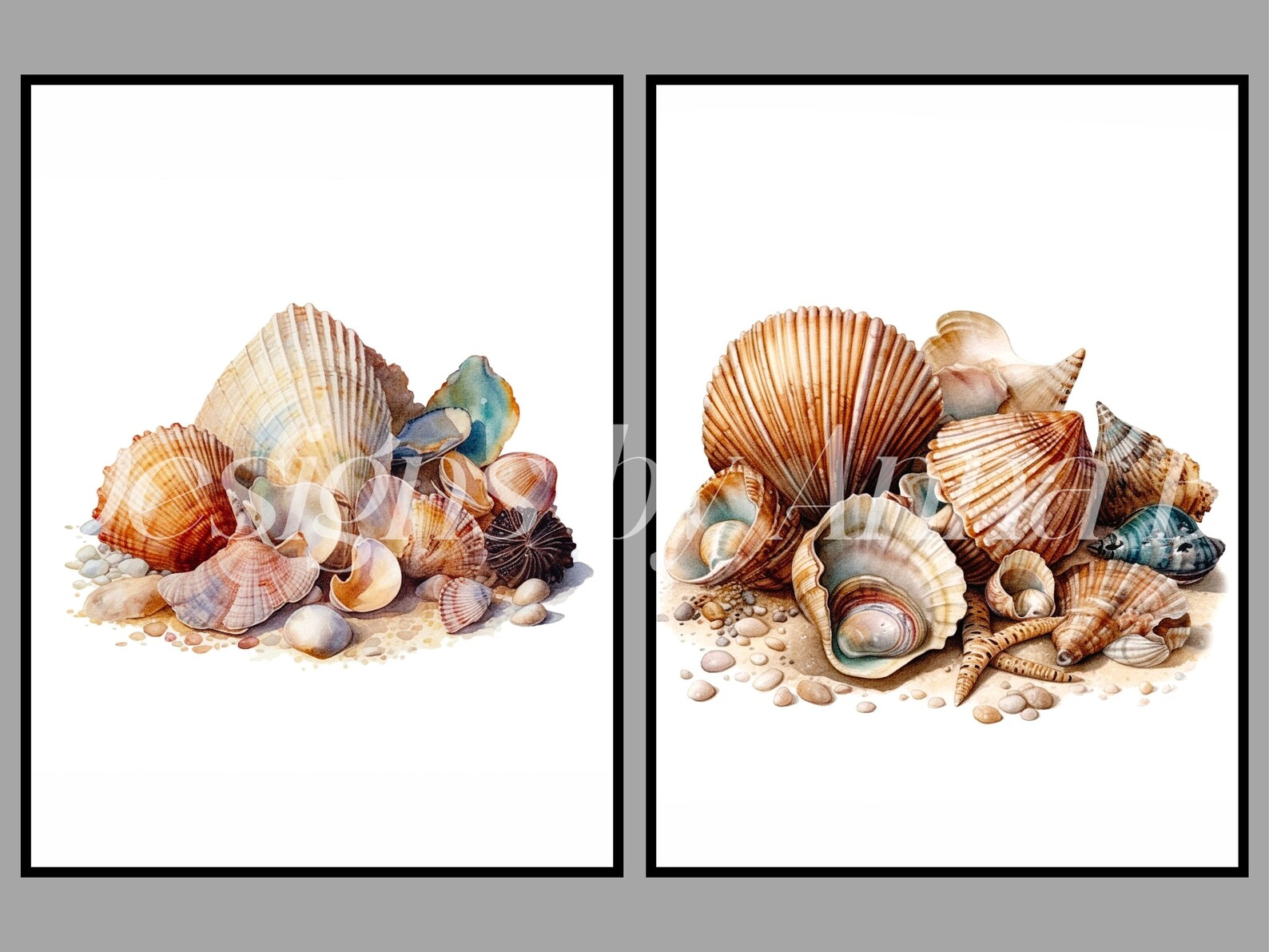 Watercolor Seashells Clipart: Nautical JPEG & PNG Files (digital ...