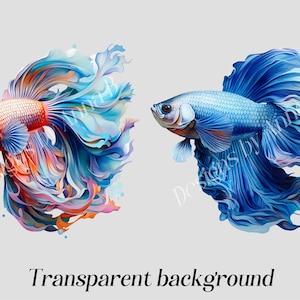 Watercolor Betta Fish Clipart, 10 High Quality PNG Files, Fish Clip Art ...