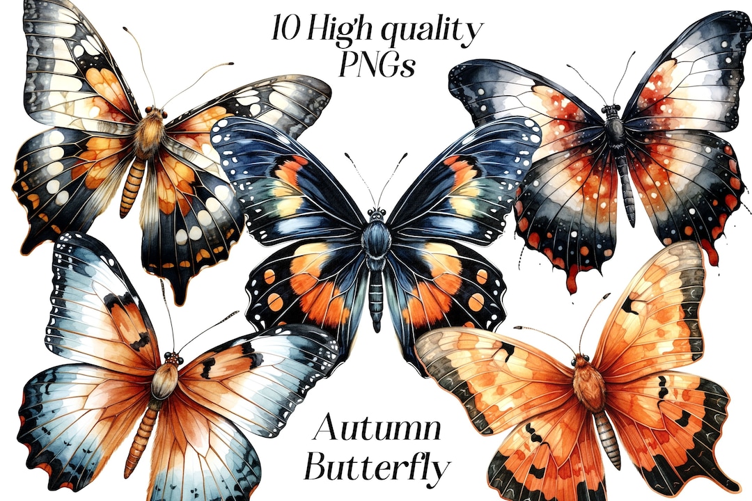 Watercolor Autumn Butterfly Clipart: Fall PNG Illustrations (digital ...