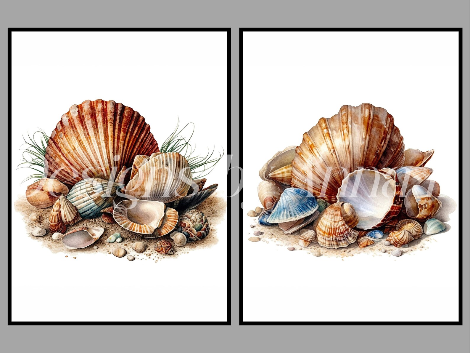 Watercolor Seashells Clipart: Nautical JPEG & PNG Files (digital ...