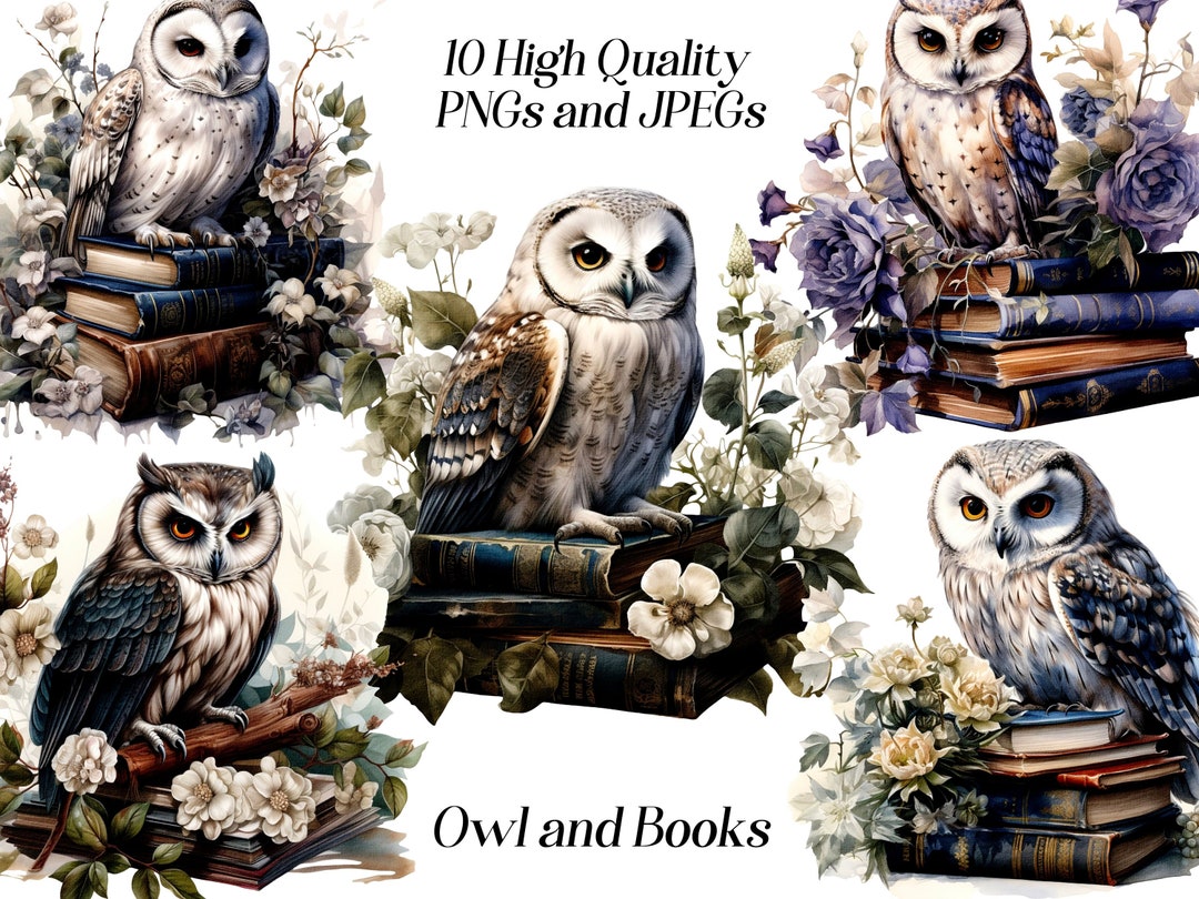 Watercolor Owl and Books Clipart, 10 High Quality JPEG and PNG Files ...