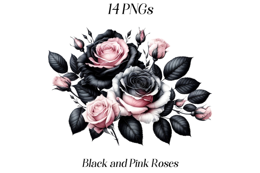 Watercolor Black and Pink Roses Clipart: Floral PNG Images (digital ...