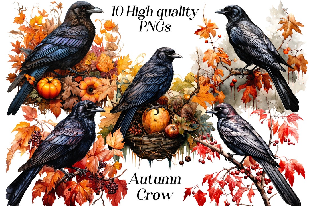 Watercolor Crow in Autumn Clipart, 10 High Quality PNG Files, Raven ...