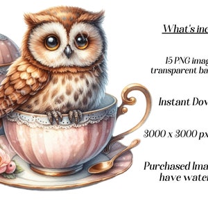 Watercolor Owl and Teacup Clipart, 15 PNG Files, Cute Owl, Vintage Teacup, Woodland Animals ...