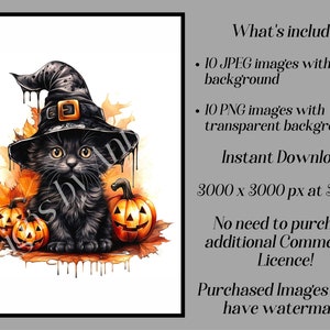 Watercolor Halloween Kitten Clipart: 10 PNG & JPEG Files (digital ...