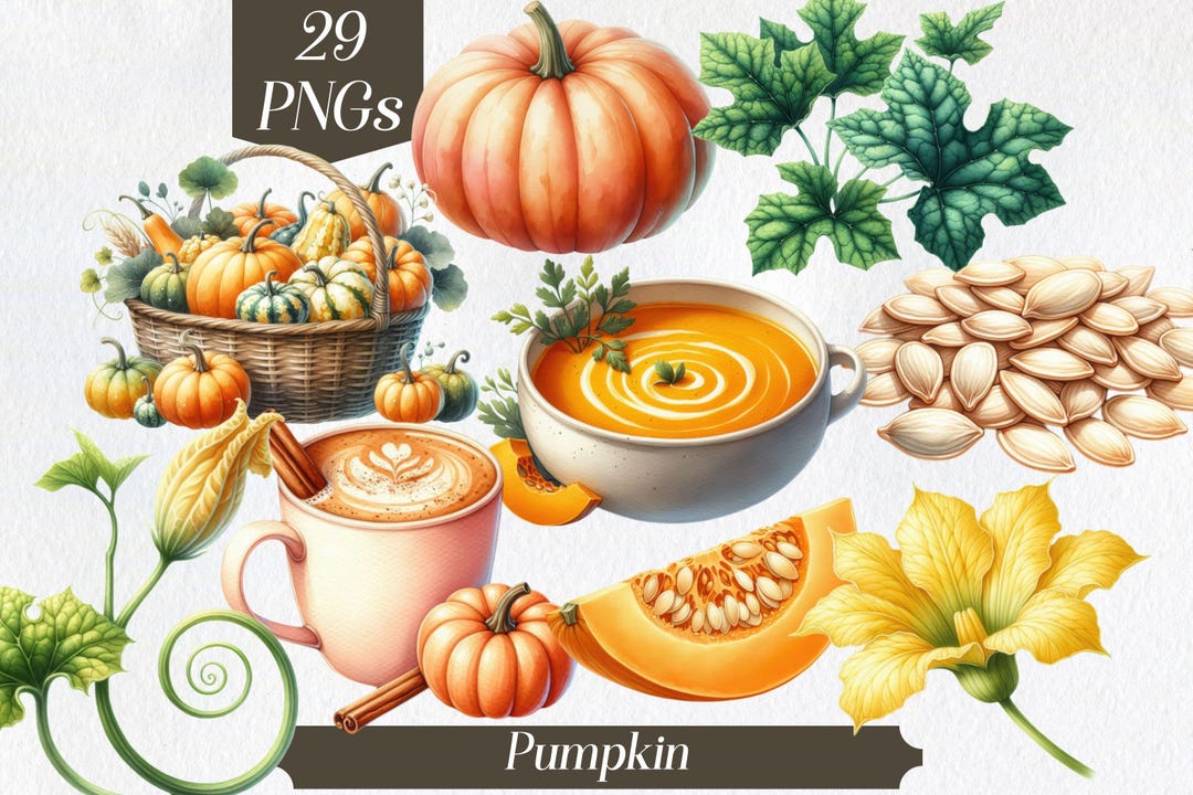 Watercolor Pumpkin Clipart: Autumn Harvest PNG Images (digital Download ...