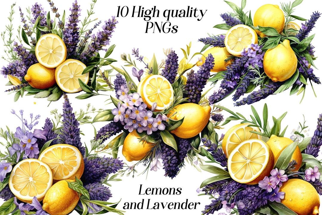 Watercolor Lemons and Lavender Clipart: Summer Florals (digital ...