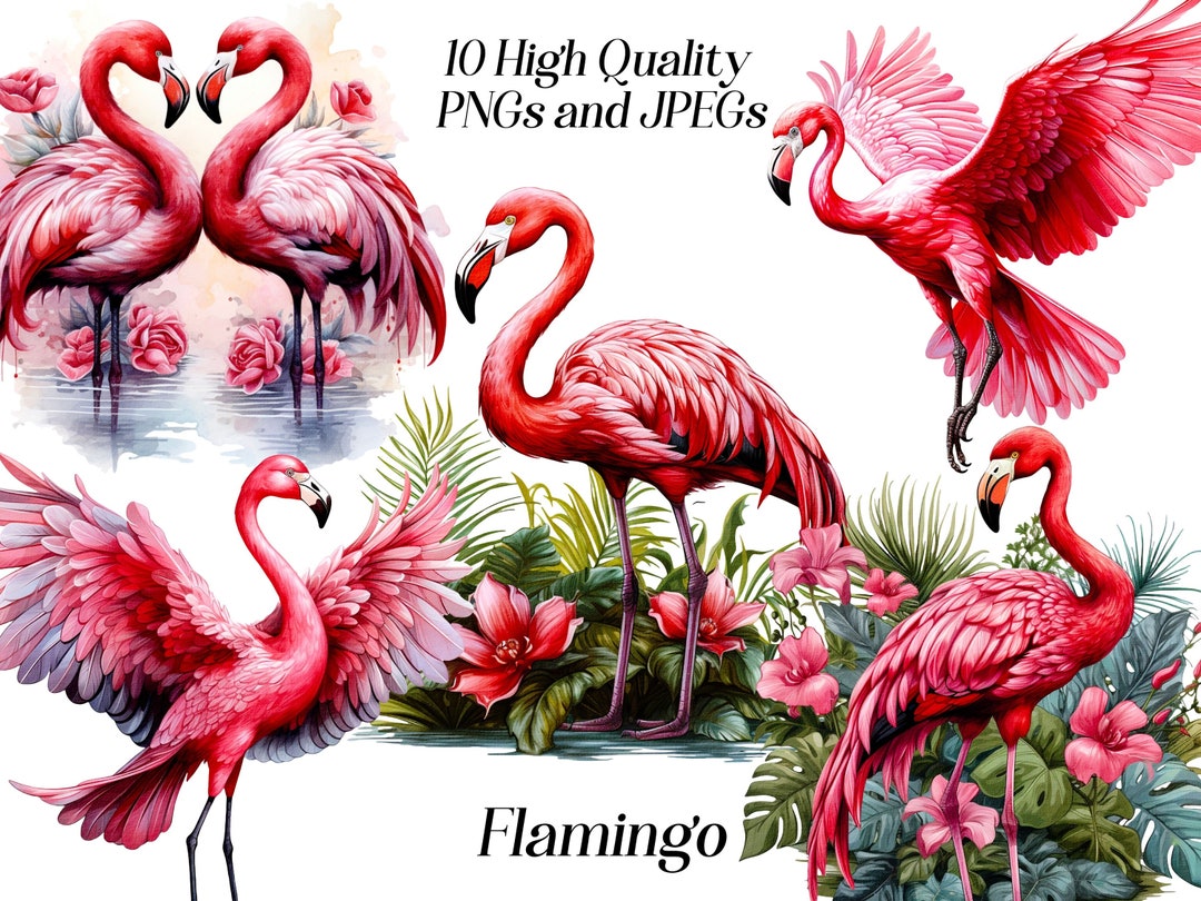 Flamingo Clipart, Watercolor Pink Flamingo Clip Art, Png, Exotic Bird ...