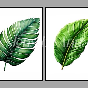 Watercolor Tropical Leaves Clipart, 10 High Quality JPEG and PNG Files ...