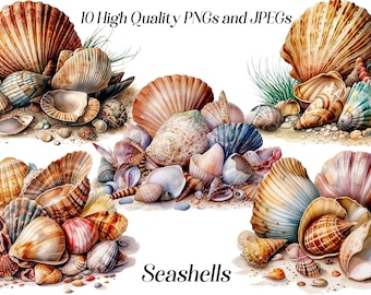 Watercolor Clipart Seashells.summer Print-nautical Theme: - Etsy