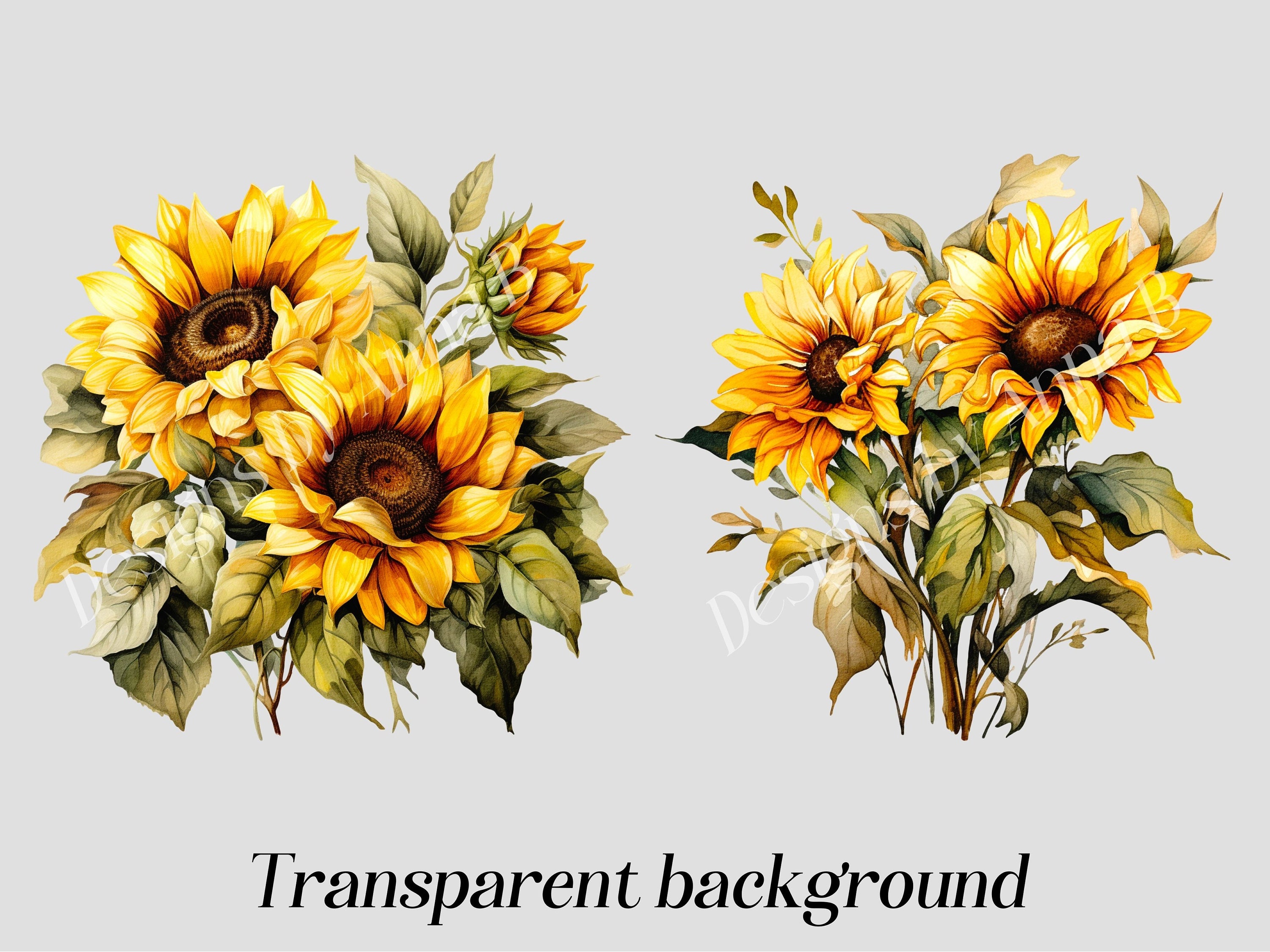 Watercolor Sunflower Clipart: Floral Wreath PNG Graphics (digital ...