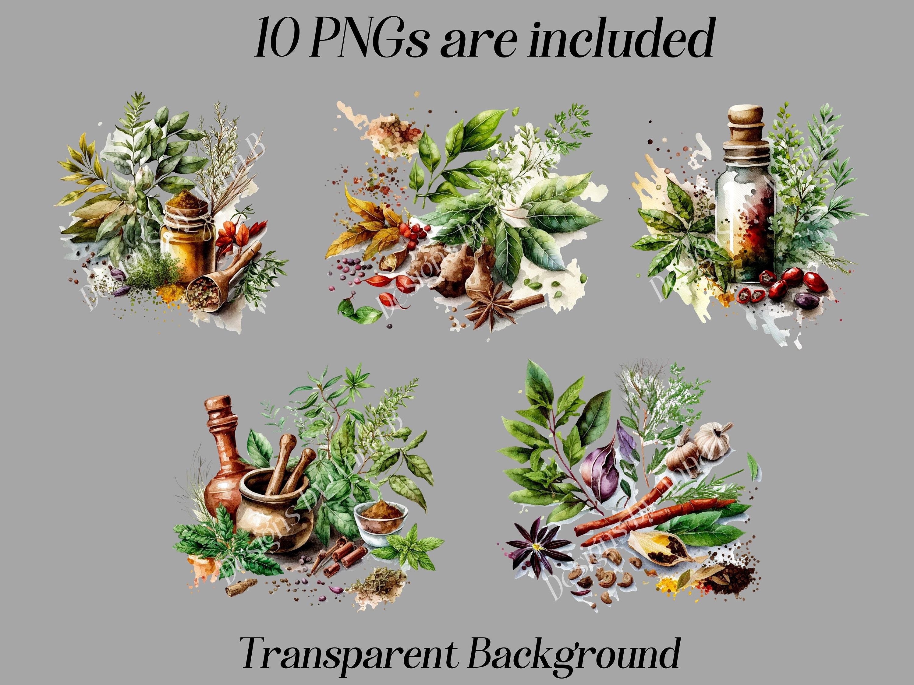 Watercolor Herbs & Spices Clipart: Rustic Kitchen Graphics (JPEG, PNG ...