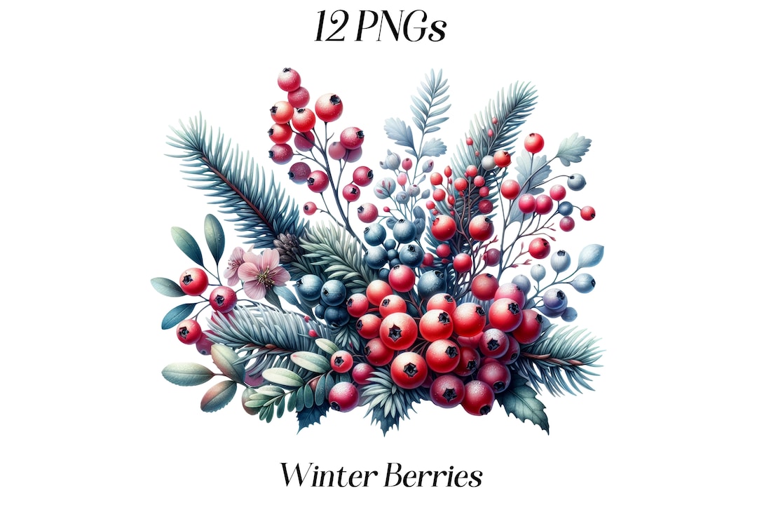 Watercolor Winter Berries Clipart, 12 PNG Files, Berries, Branches ...