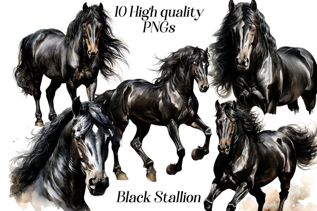 Watercolor Black Horse Clipart: Farm Horse PNG (digital Download) - Etsy