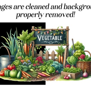 Watercolor Garden Patch Clipart, 14 PNG Files, Vegetables, Countryside ...