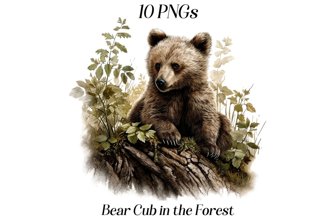 Watercolor Baby Bear Clipart, 10 High Quality JPEG and PNG Files ...