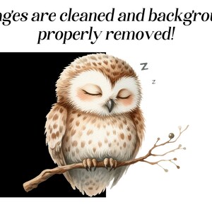 Watercolor Sleepy Owl Clipart: Nursery Art, Woodland Pngs (digital ...