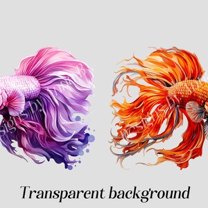 Watercolor Betta Fish Clipart, 10 High Quality PNG Files, Fish Clip Art ...