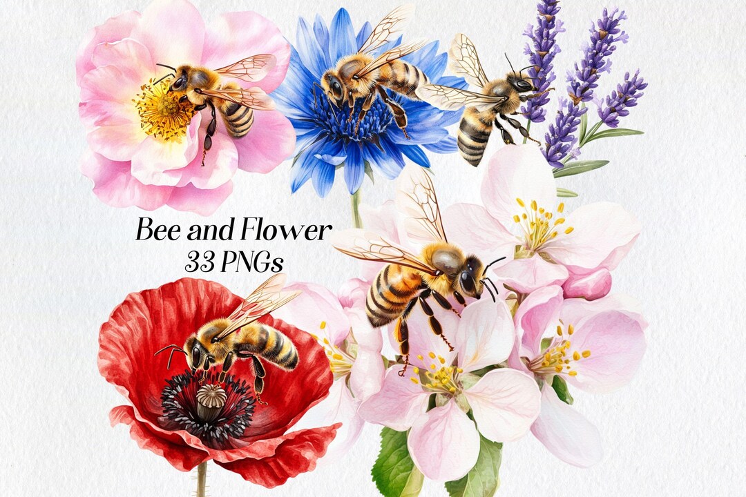 Bee and Flower Clipart, Watercolor Honey Bee Clip Art, Floral Bees Png ...
