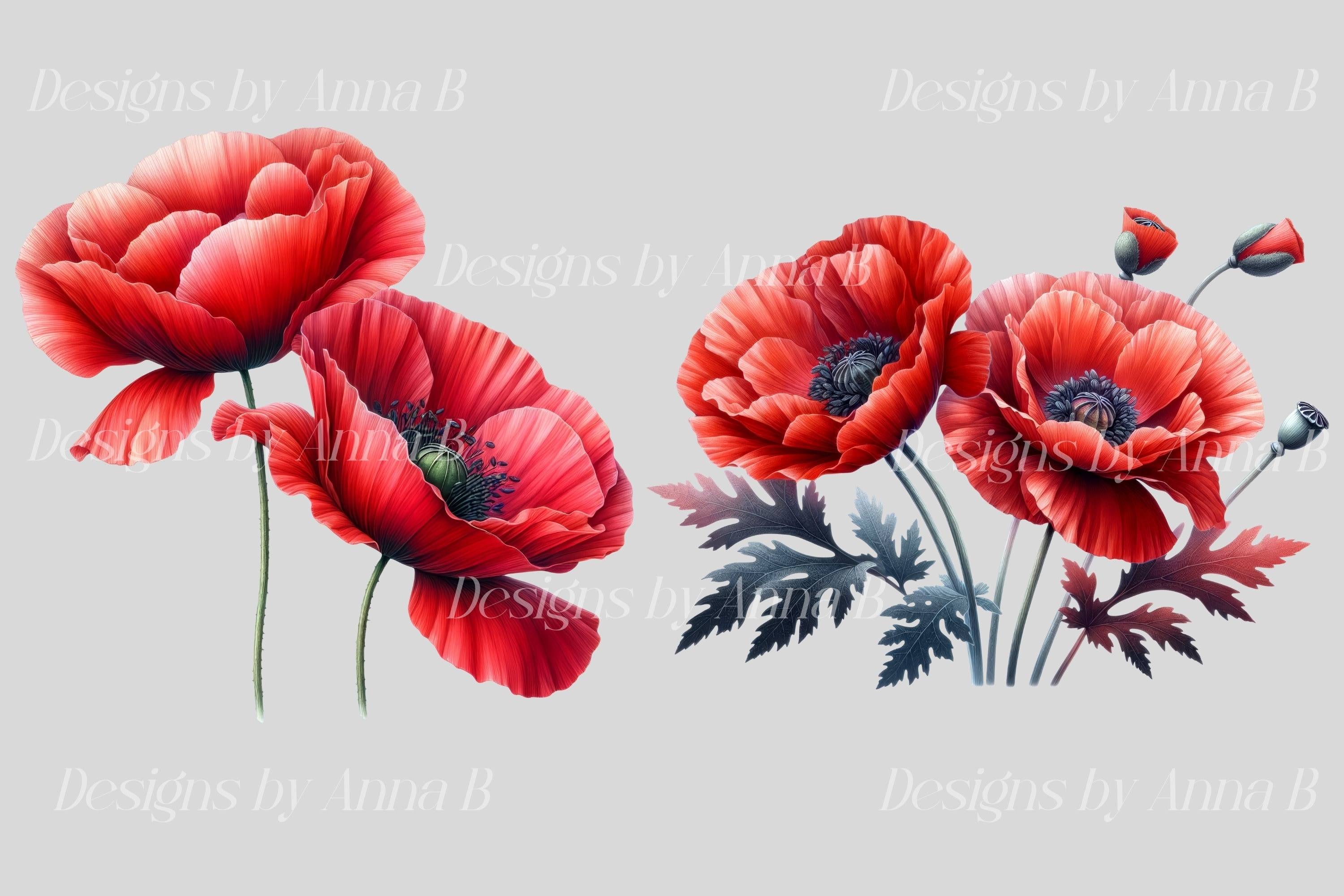 Watercolor Red Poppies Clipart: Floral PNG Set (digital Download) - Etsy